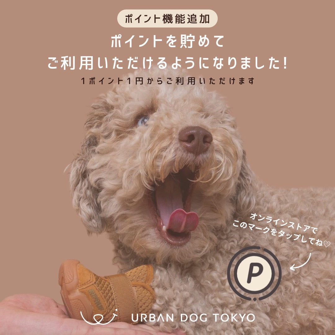 ポイント機能が搭載されました – URBAN DOG TOKYO
