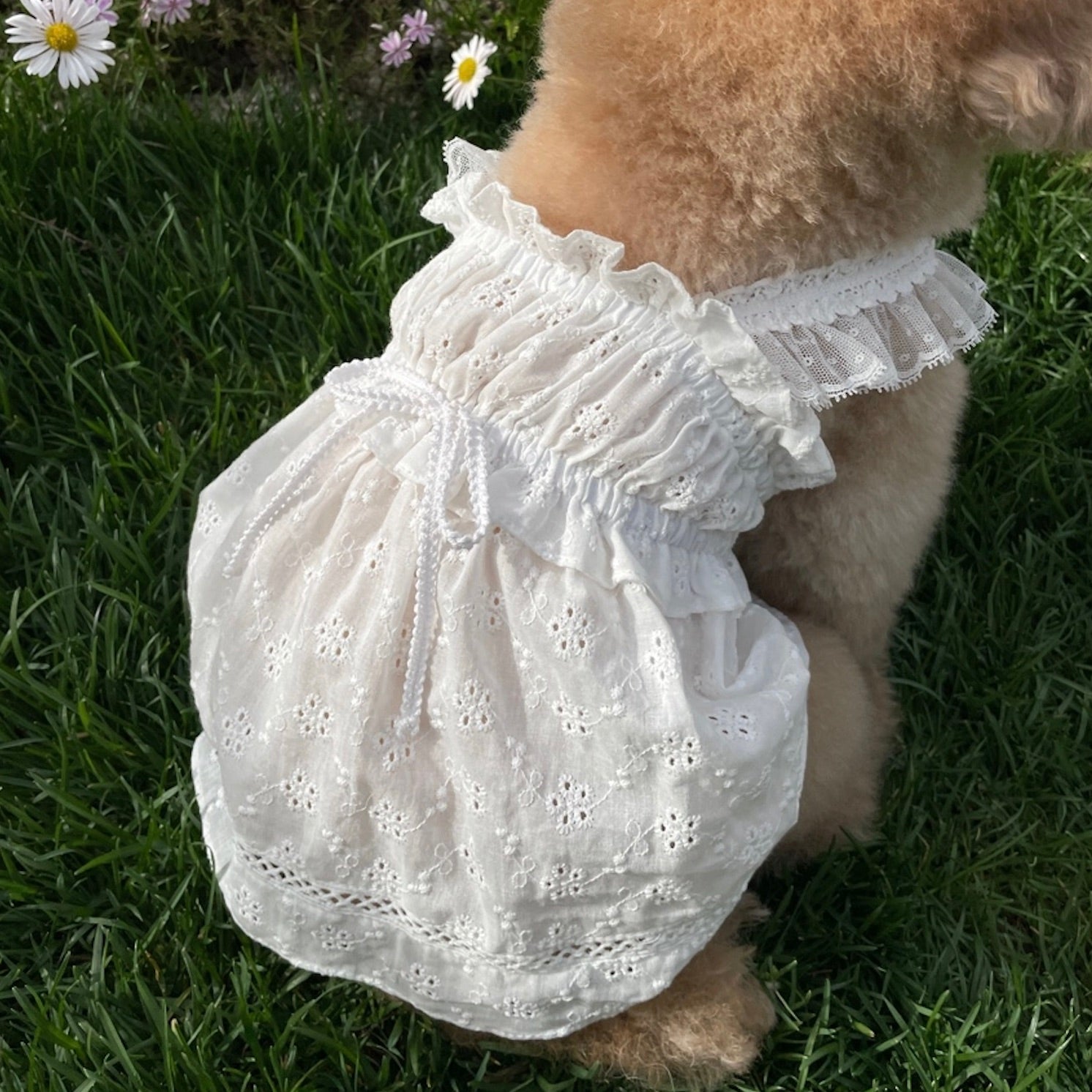 海外犬服 高品質なインポートのドッグウェア通販 "URBAN DOG TOKYO"【FREDDIE TALE】Daisy ops