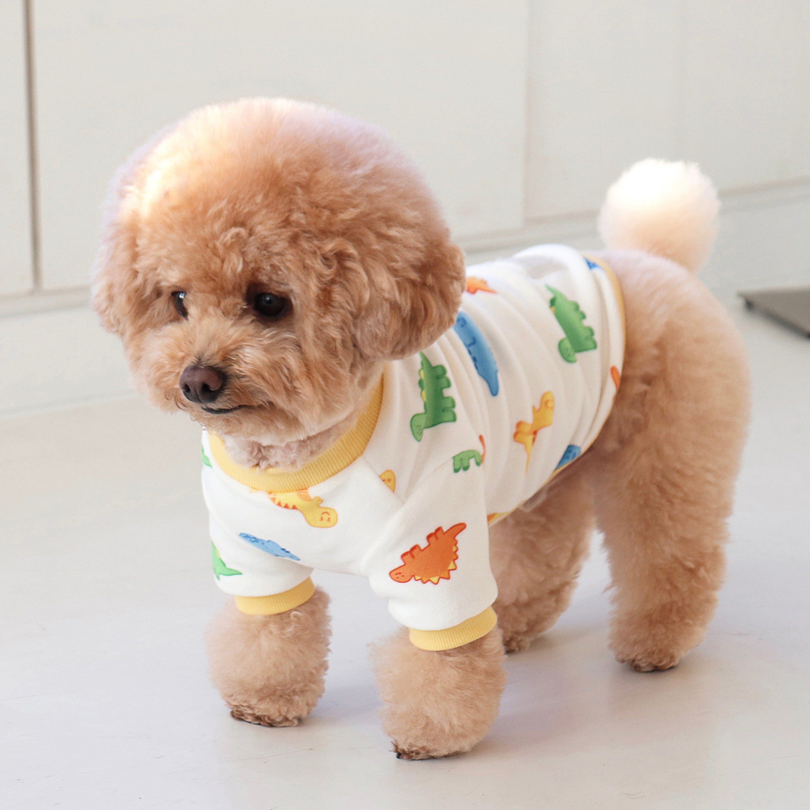 海外犬服 高品質なインポートのドッグウェア通販 "URBAN DOG TOKYO"【DURANG RURANG】Dinosaur Fleece T-shirt