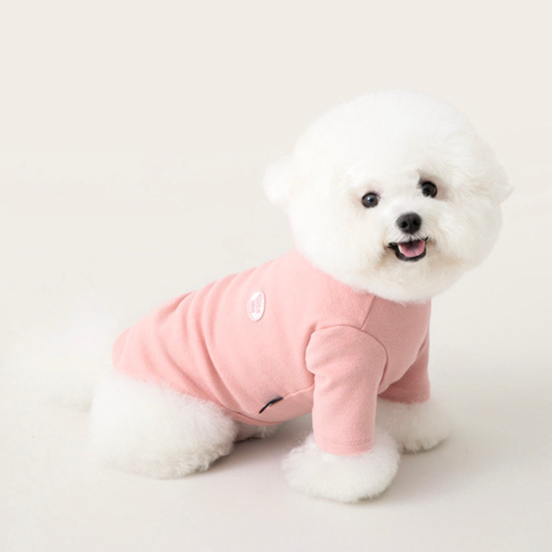 海外犬服 高品質なインポートのドッグウェア通販 "URBAN DOG TOKYO"【BITE ME】Mochi T-shirts (6colors)