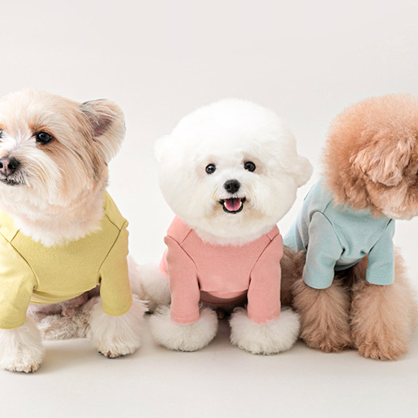 海外犬服 高品質なインポートのドッグウェア通販 "URBAN DOG TOKYO"【BITE ME】Mochi T-shirts (6colors)