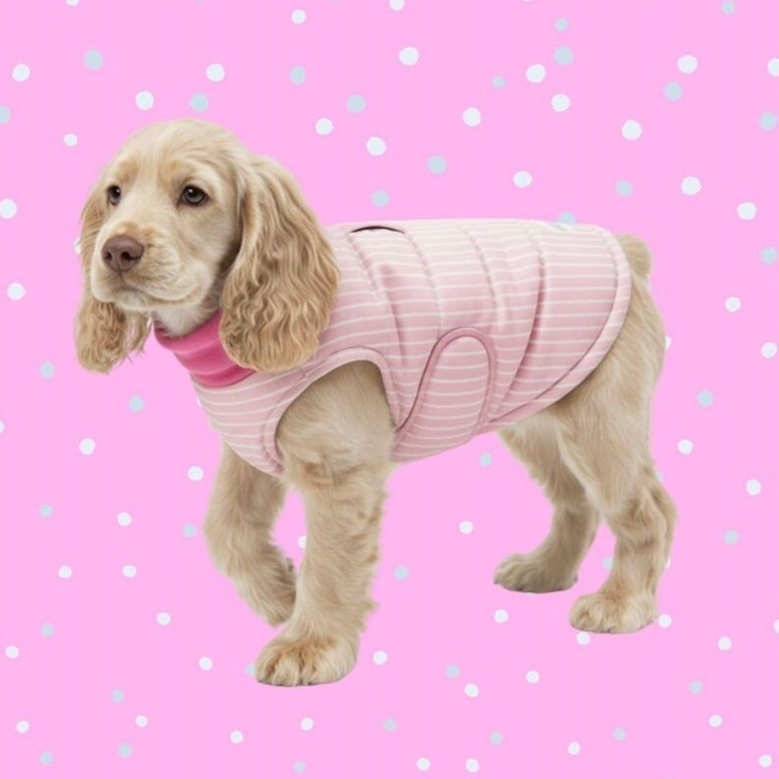 海外犬服 高品質なインポートのドッグウェア通販 "URBAN DOG TOKYO"【TOOF】ULTRA LIGHT HEAT TECH PUFFER