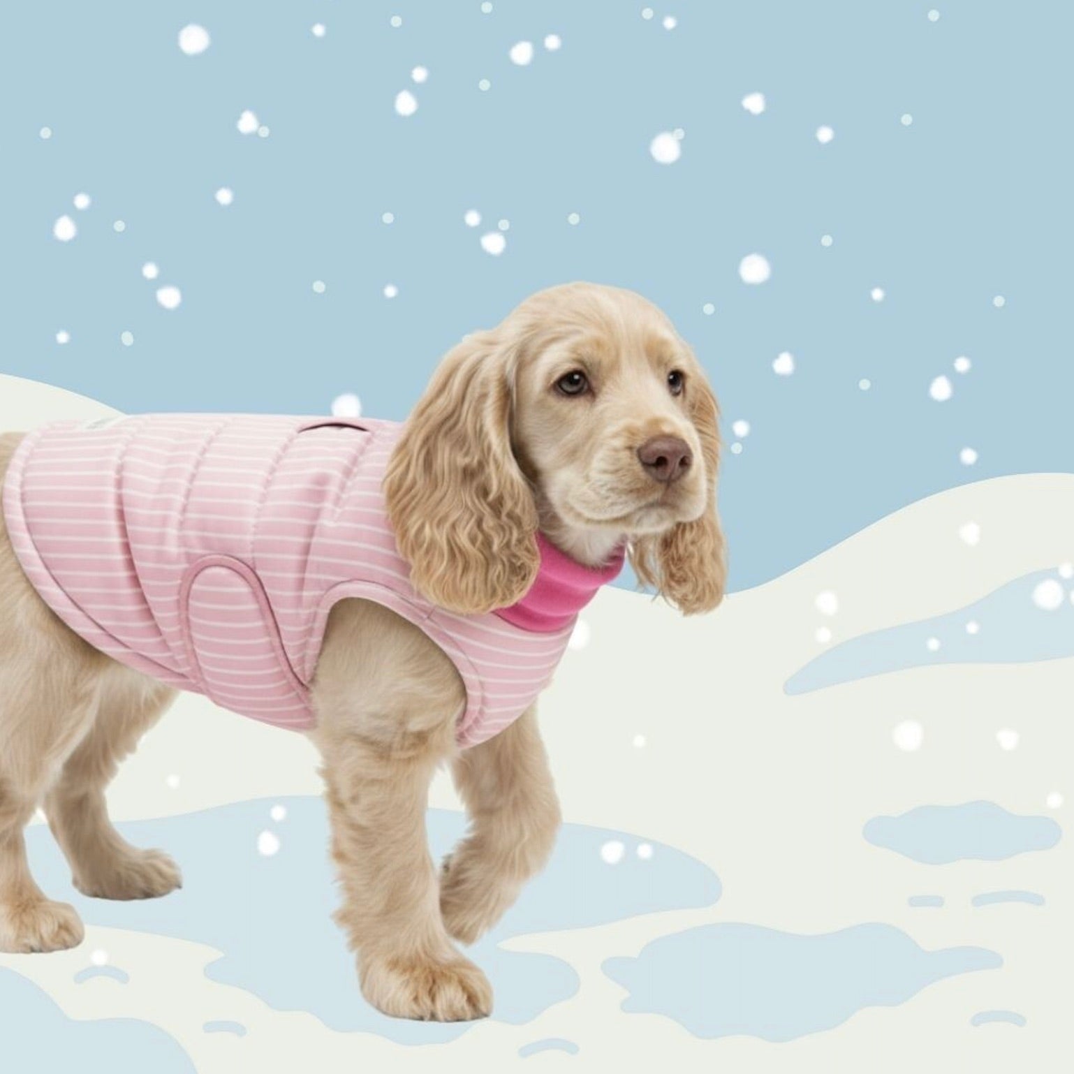 海外犬服 高品質なインポートのドッグウェア通販 "URBAN DOG TOKYO"【TOOF】ULTRA LIGHT HEAT TECH PUFFER