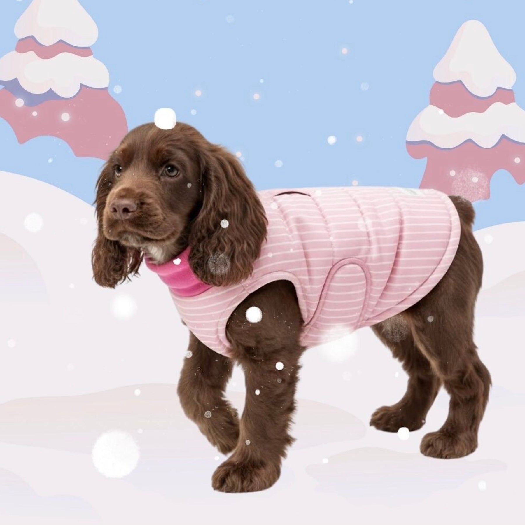 海外犬服 高品質なインポートのドッグウェア通販 "URBAN DOG TOKYO"【TOOF】ULTRA LIGHT HEAT TECH PUFFER