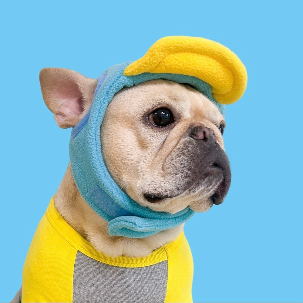 海外犬服 高品質なインポートのドッグウェア通販 "URBAN DOG TOKYO"【TOOF】FLEECE HAT